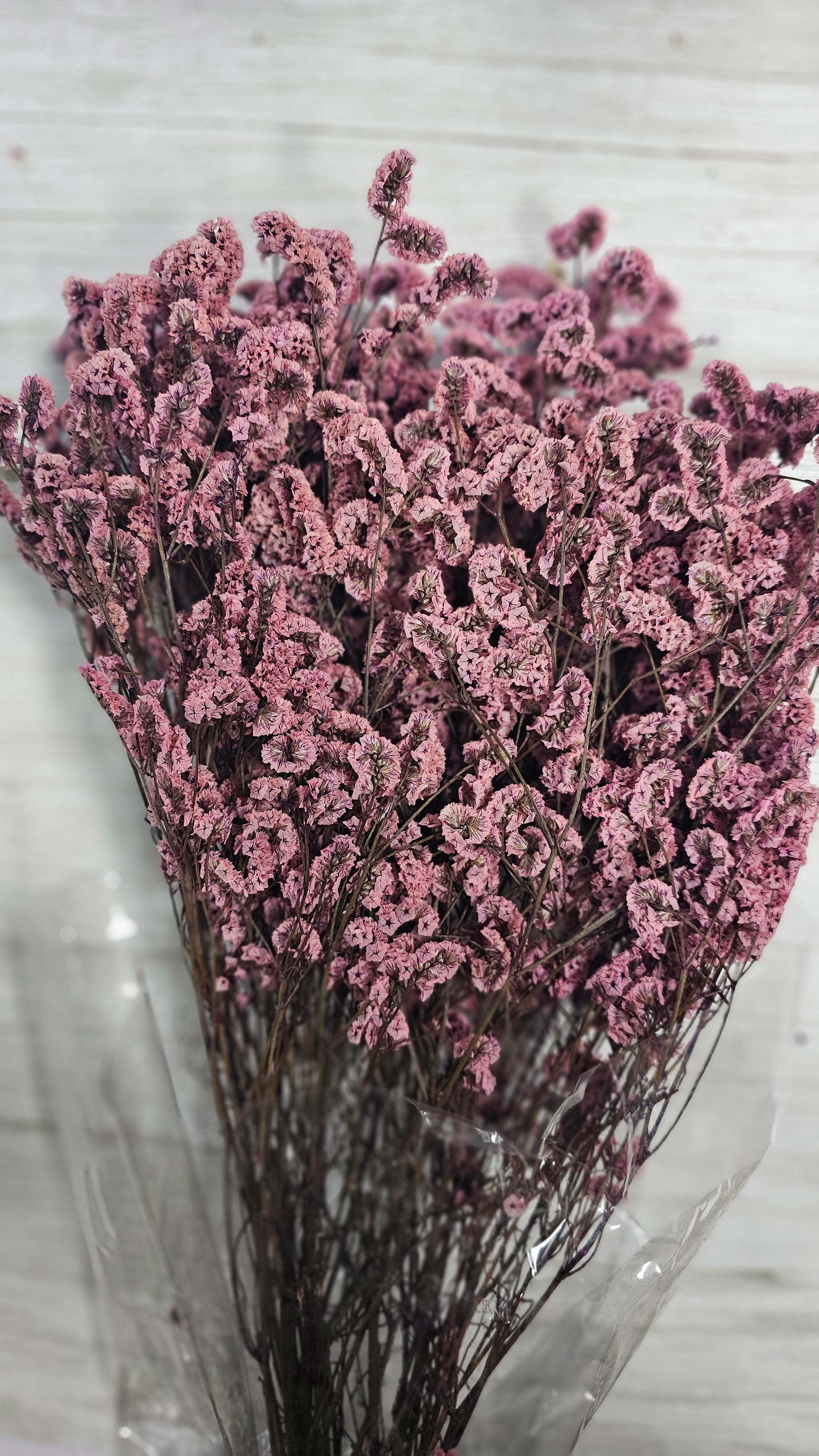 Preserved Caspia / Crystal Grass – Emflowerment